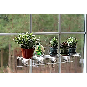 LaBrinx Designs Extra Large Suction Cup Shelf - Live Plants, Windows, and Bathrooms