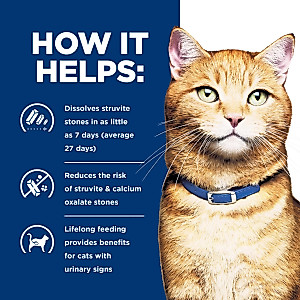 Hill's Prescription Diet c/d Multicare Urinary Care Ocean Fish Flavor Dry Cat Food, Veterinary Diet, 17.6 lb. Bag