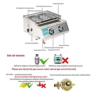 Stainless Steel Burner Gas BBQ for Outside Garden Grill BBQ with Fat Catcher, Tabletop Gas Grill Stainless Steel Two-Burner BBQ with Updated Knobs, Perfect for Camping, Picnics or Any Outdoor,Silver