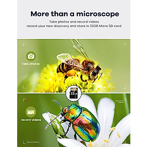 7" LCD Digital Microscope 1200X,Leipan 12MP Coin Microscope for Adults,1080P Microscope with 12pcs Slides,Windows/Mac OS Compatible(32GB Card)