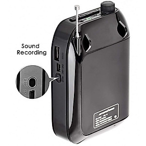Wireless Voice Amplifier, 15W Rechargeable Portable PA System (2400mAh) Bluetooth Speaker with UHF Wireless Microphone for Teachers, Tour Guide and More