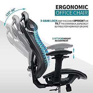 Mesh Office Chair, Ergonomic Office Chair with Adjustable Lumbar Support, Armrest, Headrest - Tilt High Back Desk Chair with Mute Wheel for Office, Home, Gaming