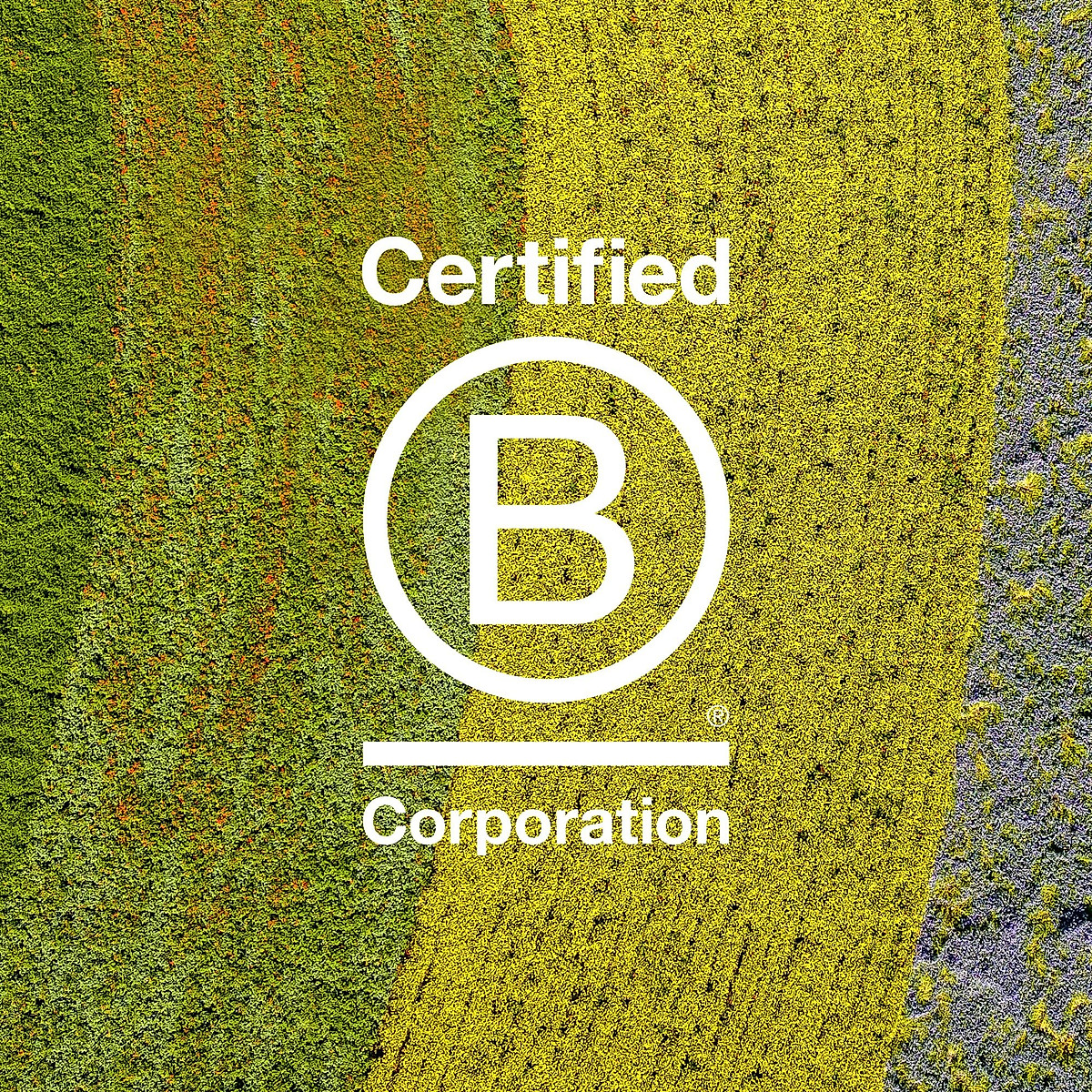 Davines Heart of Glass Intense Treatment for Blonde Care, 5.29 oz (Pack of 1)