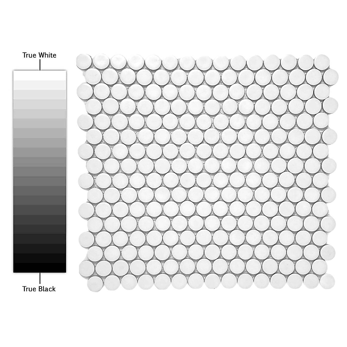 Penny Round Tile Arctic White Porcelain Mosaic Matte Look Wall and Floor Tile (Box of 10 Sheets) for Kitchen Backsplash, Bathroom Floor, Accent Wall