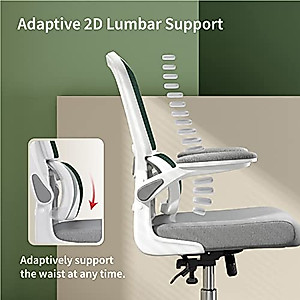 Logicfox Ergonomic Office Chair, Breathable Mesh Chair with Adjustable Height, Computer Chair with a Double Lumbar Support and Flip-up Arms, Home Office Desk Chair with 90°-130° Tilt Function