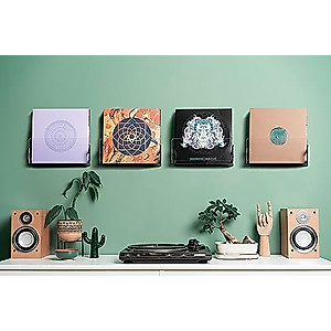 OLDBOYZ Vinyl Record Storage