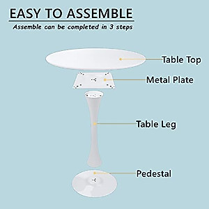 Round Dining Table White with Pedestal Base,31.5" Modern Tulip Dining Room Table for 1-4 People,Pedestal Dining Table with Round Top for Kitchen Living Room (Tulip Dining Table White)