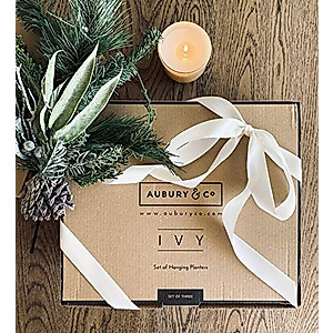 AUBURY Hanging Planter for Indoor Plants - Set of 3 Ceramic Hanger Planters, Succulent Hanging Plant Pots, Hanging Plant Holders for Indoor Outdoor, Hanging Plant Decor 3 Pack, Patented Design D887822