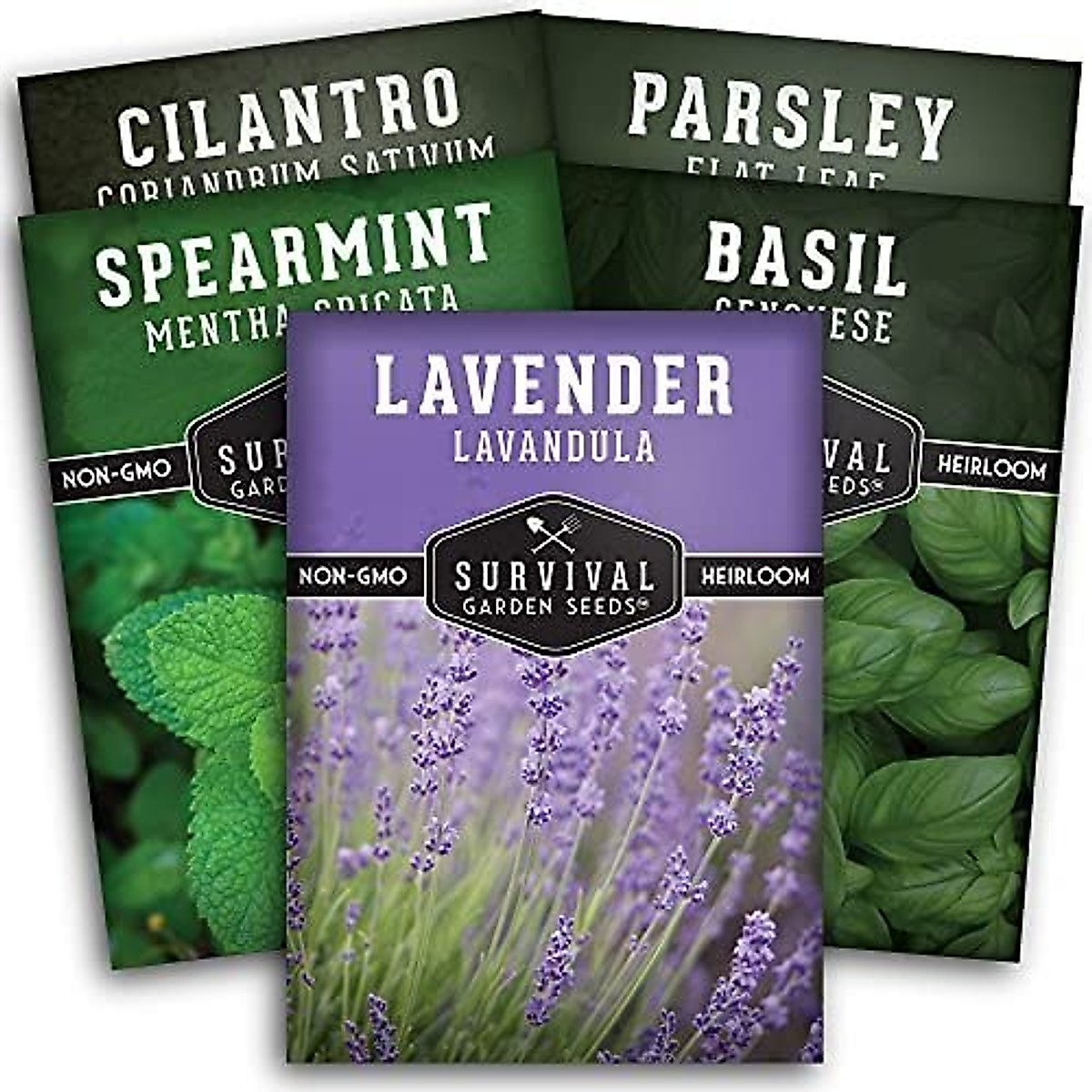 Survival Garden Seeds Popular Herb Collection Seed Vault - Lavender, Spearmint, Basil, Cilantro, Parsley - Non-GMO Heirloom Survival Garden Seeds for Planting - Grow Herbs in Your Vegetable Garden