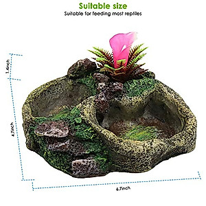 iFCOW Resin Feeder Bowl, Reptile Water Dish Food Bowl Resin Feeder Bowl for Tortoise Lizard