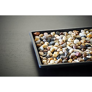 9GreenBox Bonsai Humidity Drip Tray - Decorative Catcher Plate for Drainage and Moisture - Black Polished Plastic Container with Natural Pebbles - Large Space Good for 2 Potted Miniature Trees - 7"x9"