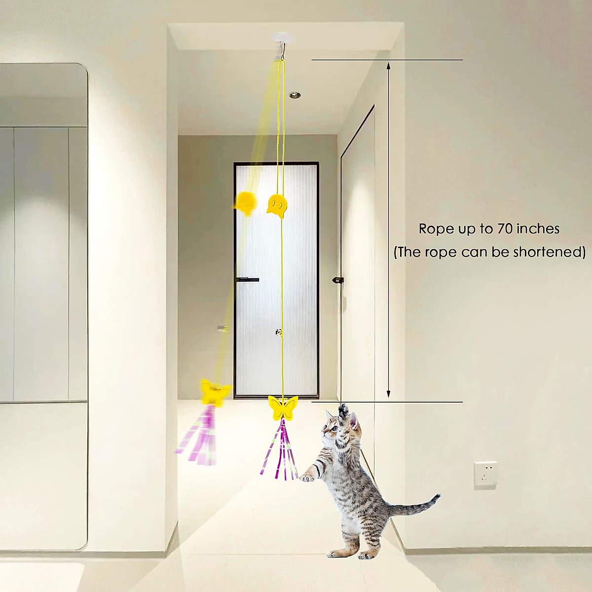 Mitubati Cat Toys Indoor Hanging Door Retractable Bird Cat Toy for Kitten Fun Exercise Interactive String Feather Cat Toys for Hunting Chase (6 Pack)