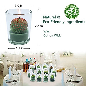 Cute Succulent Cactus Tealight Candles in Clear Glass Jar, 12Pcs Green Novelty Decorative Votive Candles for House-Warming Party Wedding Baby-Shower and Home Decoration Gifts