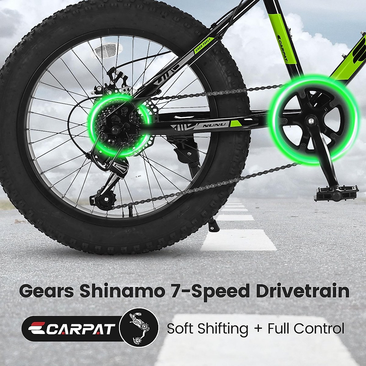 Elecony Ecarpat 20/24/26 Inch Fat Tire Mountain Bikes 7-Speed with Mechanical Disc Brakes Front Suspension, Mens Womens All Terrain Mountain Winter Snow Bicycles