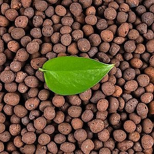 5LB LECA for Plants, 4-16mm Small Expanded Clay Pebbles for Hydroponic Growing, Organic Lecca Balls for Indoor Pots Drainage, Aquaponics, Come with Gloves