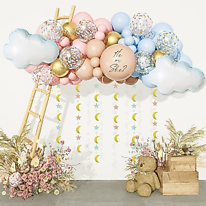 Amandir 185Pcs Gender Reveal Decorations, Double-Stuffed Pastel Pink and Blue Brown Nude Balloon Arch Kit White Cloud Hanging Moon&Star Garland Boho Neutral Boy or Girl Bear Baby Shower Party Supplies