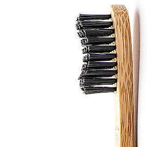 Humble Brush Adult, White/Black