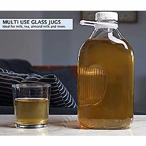 The Dairy Shoppe Glass Milk Bottle, Heavy Glass with Lid, Creamery Style (1, Half Gallon)