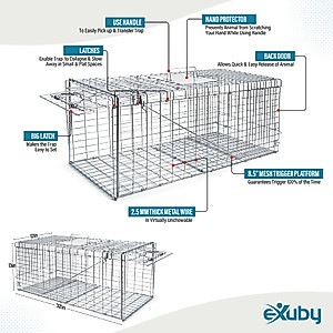 eXuby Large Cat Trap for Stray/Feral Cats & Other Animals - 32"x12"x13” - Catch Them Live & Relocate - Extra Large 8.5" Trigger Platform - Also for; Racoon, Rabbit, Possum, Skunk, Bobcat, Squirrel