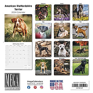 2023 2024 American Staffordshire Terrier Calendar - Dog Breed Monthly Wall Calendar - 12 x 24 Open - Thick No-Bleed Paper - Giftable - Academic Teacher's Planner Calendar Organizing & Planning