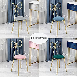 DUANY STORE Makeup Vanity Girl Chairs Stool for Bedroom with Bow Knot Backrest,Side Table Seat Dressing Chair with Golden Metal Leg,Velvet Cushion for Girl Daughter Room