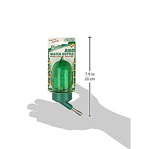 Oasis Small Bird Water Bottle - Polystyrene & Cherry-Red Drinking Tip, Double-Ball Vacuum Valve - for Parakeets, Budgies, Canaries, Finches, Cockatiels & Love Birds, Capacity 4-Ounces,Green