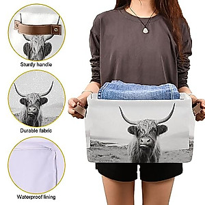 xigua Scottish Highland Cow Print Storage Bin Collapsible Canvas Storage Basket Closet Organizer with Handles for Bedroom Nursery Shelves Laundry Room, 1 Pack