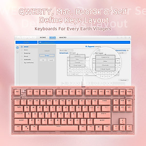 FL ESPORTS MK870 CMMK 87 Keys RGB Modular Mechanical Keyboard, 80% TKL Wired Gaming Keyboard DIY Kit w/Hot-Swap Switch Sockets (5-pin) & Customizable Software Supported (Barebones, Frosted Pink)