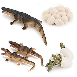 Fantarea 4 PCS Wild Wildlife Animal Figures Creatures Action Models Life Cycle Crocodile Alligator Figure Ornament Cake Toppers Party Favors Supplies Cognitive Toy for Boys Girls Kids