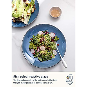 LE TAUCI Salad Plates 8.5 Inch, Ceramic Dessert Plate Set, Kitchen Serving Dishes for Housewarming Thanksgiving Christmas, Microwave Oven Safe - Set of 6, Reactive Glaze, Ceylon Blue