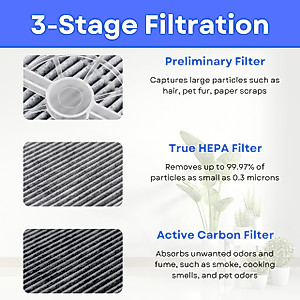 Nispira Activated Carbon HEPA Filter Replacement | For Air Purifier FridaBaby Sound Machine, Meleden, RIGOGLIOSO GL-2103, JINPUS, LTLKY 900S, 2103, 8 Pack