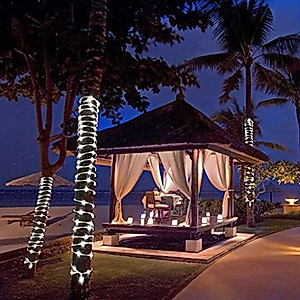 Solar String Lights Rope Lights Outdoor Waterproof 33ft 100 LEDs Holiday Christmas Decorations Fairy Lights (Y-H-GZD-CW)