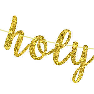 Holy Shit You're 60 Banner, Gold Glitter Funny Adult Happy 60th Birthday Banner Decoration Supplies