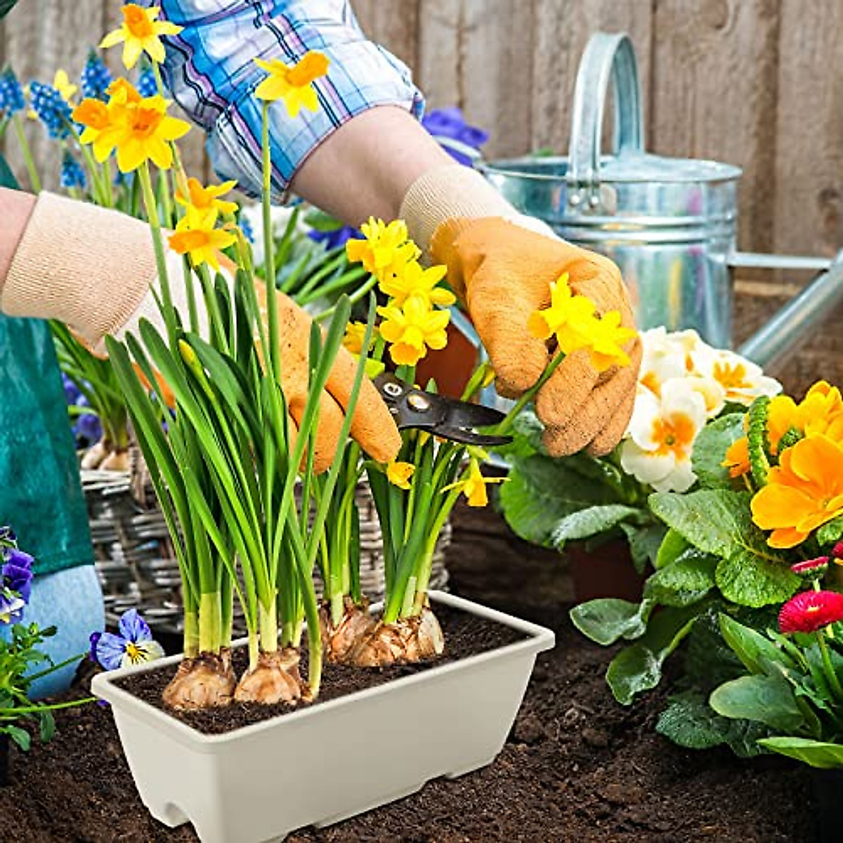 12 Pieces Rectangle Window Box Planter 17 Inch Window Plant Box Herb Planter Plastic Herb Pots for Indoor Plants Large Window Flower Boxes Outdoor with Tray for Garden, Balcony Home Decor (Light Gray)