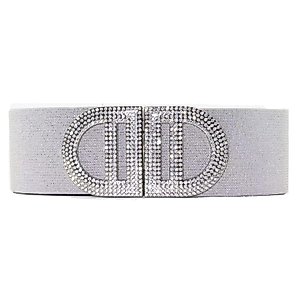 ZYALTFDC Women's Silver Elastic Cinch Belt, Stretchy Vintage Waist Band for Dresses, One Size 27''-35'' & 36''-45''