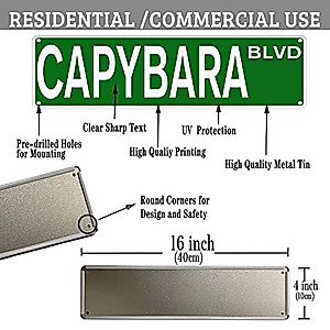 Huer Capybara BLVD Street Sign, Funny Animal Wall Decor for Home/Bedroom/Man Cave, Quality Metal Signs 16x4 Inch