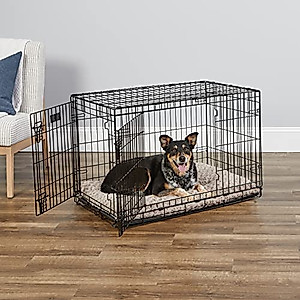 MidWest Homes for Pets Newly Enhanced Double Door iCrate Dog Crate, Includes Leak-Proof Pan, Floor Protecting Feet, Divider Panel & New Patented Features