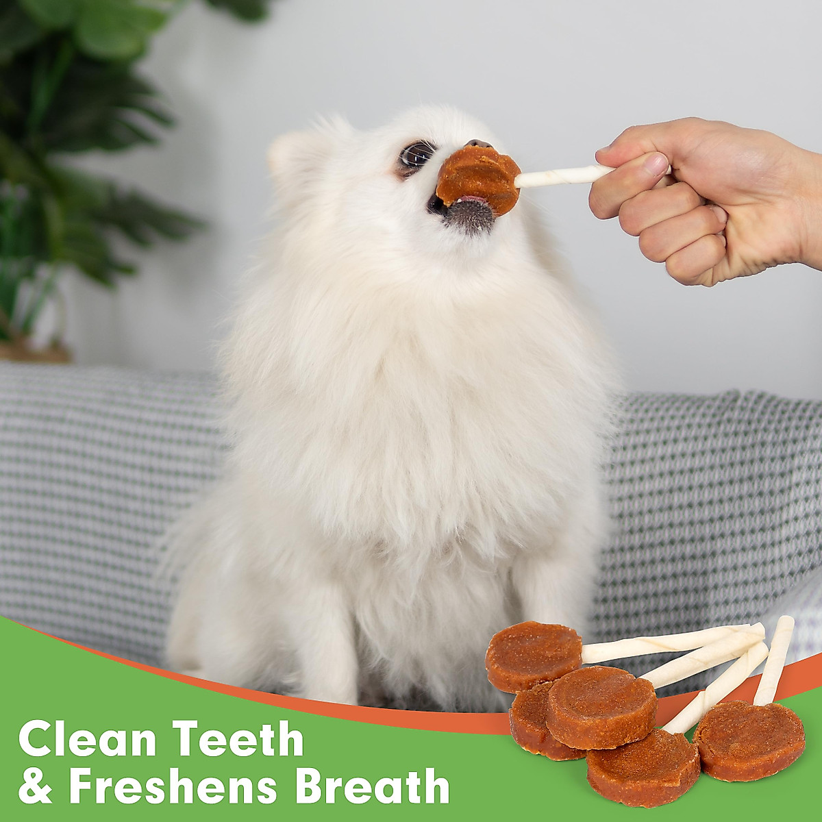 MON2SUN Lollipop Dog Treats, 4.5 Inch Chicken and Egg with Rawhide Twist Sticks, Healthy and Teeth Cleaning Dog Snacks for Small Dogs, 10.58oz (15 Count-Pack of 1)