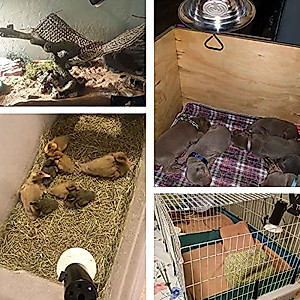 WUHOSTAM 2 Pack 75W White Ceramic Heat Lamp with 1-pcs Digital-Thermometer,Infrared Bulb Emitter Lamp Infrared Bulb for Pet Brooder Coop Chicken Lizard Turtle Snake Aquarium ETL Listed