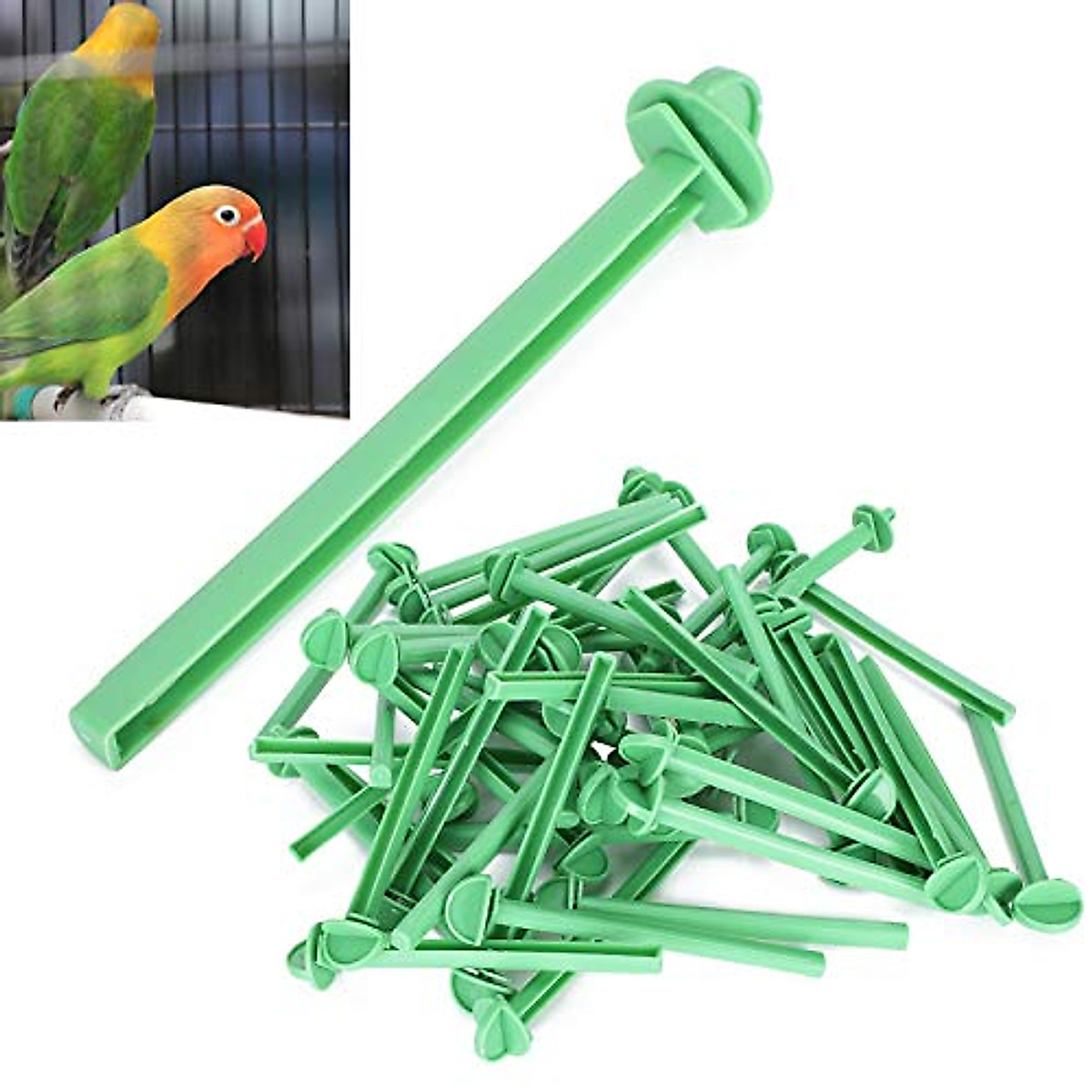 GLOGLOW Bird Standing Stick, 50pcs Plastic Bird Cage Standing Stick Portable Training Parrot Playstand