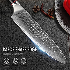 Chef Knife 8 Inch Damascus Kitchen Knife, Professional Japanese VG10 Damascus Steel Cooking Knife, Ergonomic Wood Knife Handle, Super Sharp Chef's Knives with Gift Box