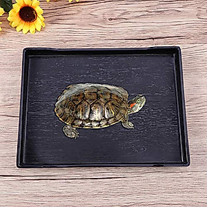 Ipetboom Reptile Water Dish 1Pc Reptile Food Bowl, Tortoise Habitat Accessories Pets Feeding Plate Reptile Feeding Bowl Pet Breeding Tray for Reptile and Amphibian, 24.5x18x2cm Turtle Water Bowl