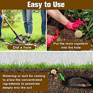 Dsdgkmk Mole Repellent for Lawns, Gopher Repellent, Mole & Vole Repellent, Mole Deterrent for Yard/Garden, Vole Repellent Outdoor,Mole and Gopher Repellent, Get Rid of Mole, Groundhog Repellent -8P