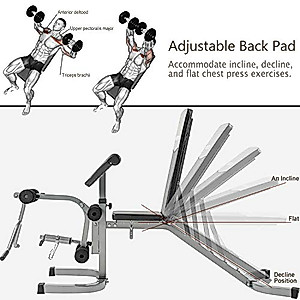 Merax Weight Bench with Leg Extension - 6+3 Positions Adjustable Olympic Utility Benches with Preacher Curl Upgrade Design