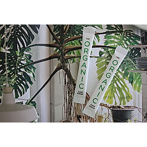 SUGART - THE ORGANIC CANE SUGAR - 500 individual Serving Stick Packets - USDA & U Parve/Kosher certified