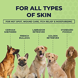 Bulldog Hot Spot Treatment 2Oz-Wound Care Ointment w/Silver & Honey-French Bulldog Itch Relief for Allergy,English Bulldog Lotion for Dry Skin and Healing Balm-Skin Soother for Dog-Lotion for Dry Skin