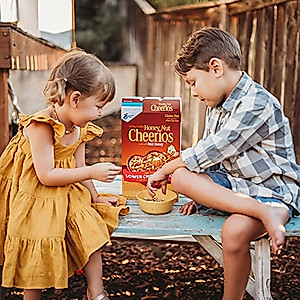 Honey Nut Cheerios Cereal, Limited Edition Happy Heart Shapes, Heart Healthy Cereal With Whole Grain Oats, Family Size, 18.8 oz