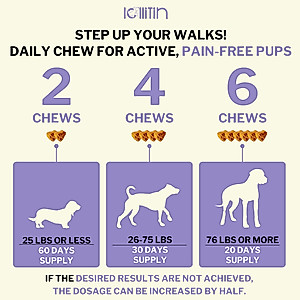 Dog Hip and Joint Supplement - Made in USA Dog Joint Supplement for Mobility Issues - Relief with Glucosamine for Dogs, MSM - 120 Count, Bacon Flavor - All Natural Dog Joint and Hip Supplement