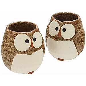 Kotobuki Ceramic Owl Cup (Set of 2), Brown