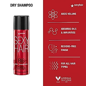 SexyHair Big Dry Shampoo, 3.4 Oz | Remove Oils and Impurities | Provides Additional Volume | All Hair Types
